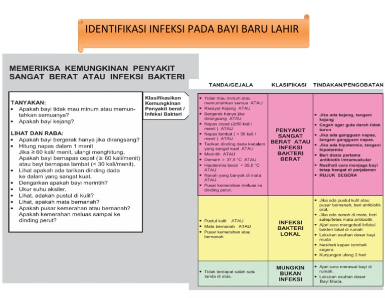 Identifikasi Infeksi Pada Bayi Baru Lahir | PDF