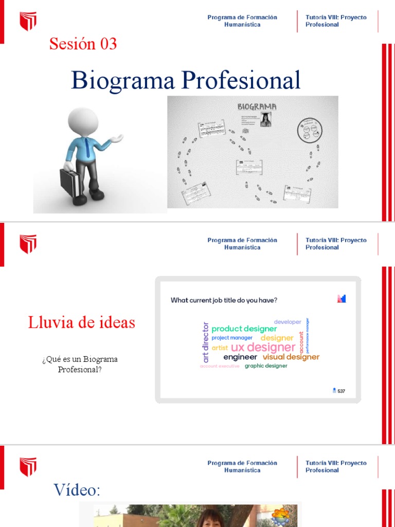 Biograma Profesional: Sesión 03 | PDF