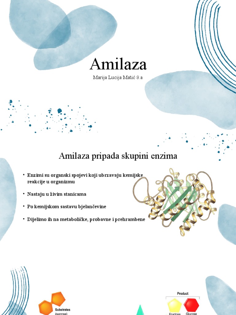 Amilaza | PDF
