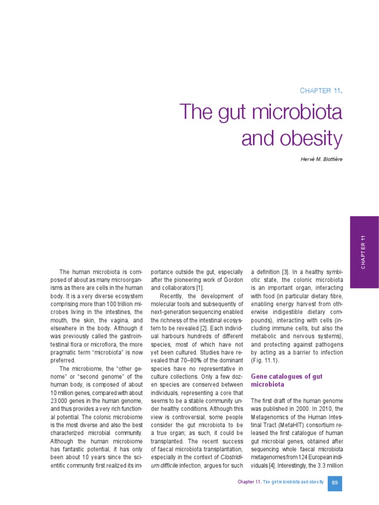 Gut microbiota and obesity | PDF | Microbiota | Adipose Tissue