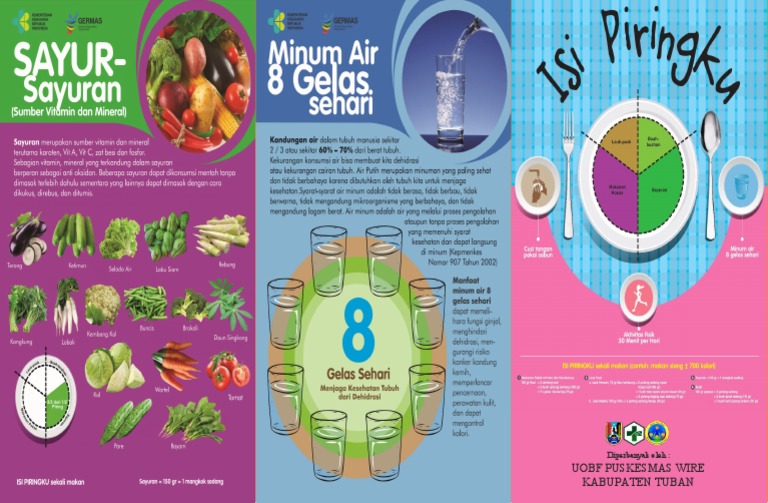 Leaflet Aksi Bergizi_Isi Piringku | PDF