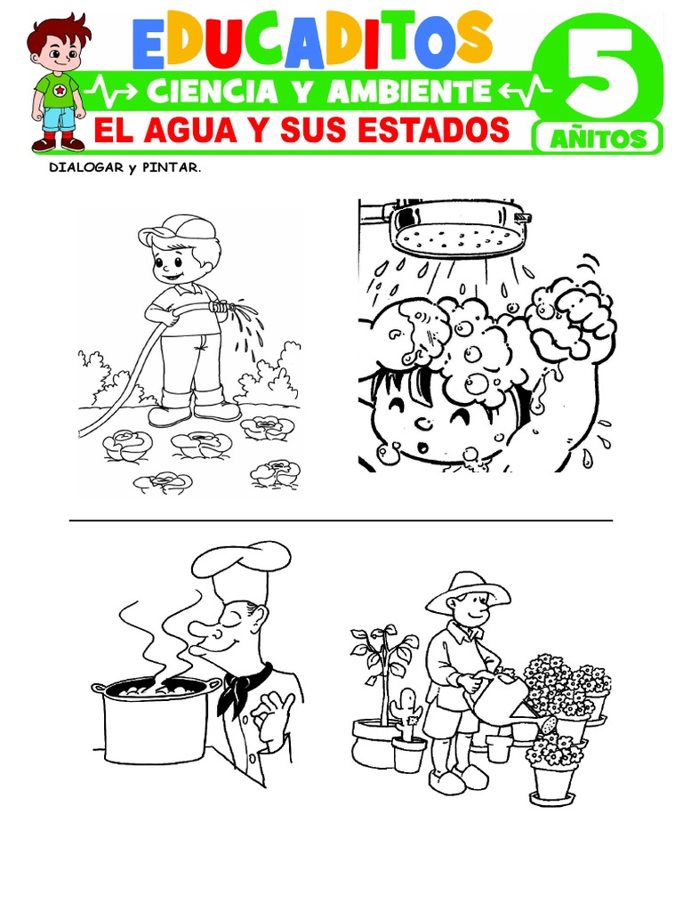 El Agua y Sus Estados para Ninos de 5 Anos | PDF