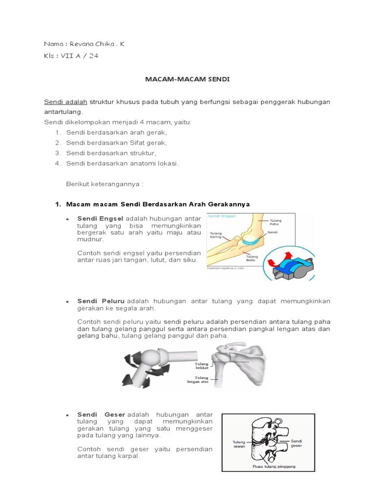Rangkuman Sendi Manusia | PDF