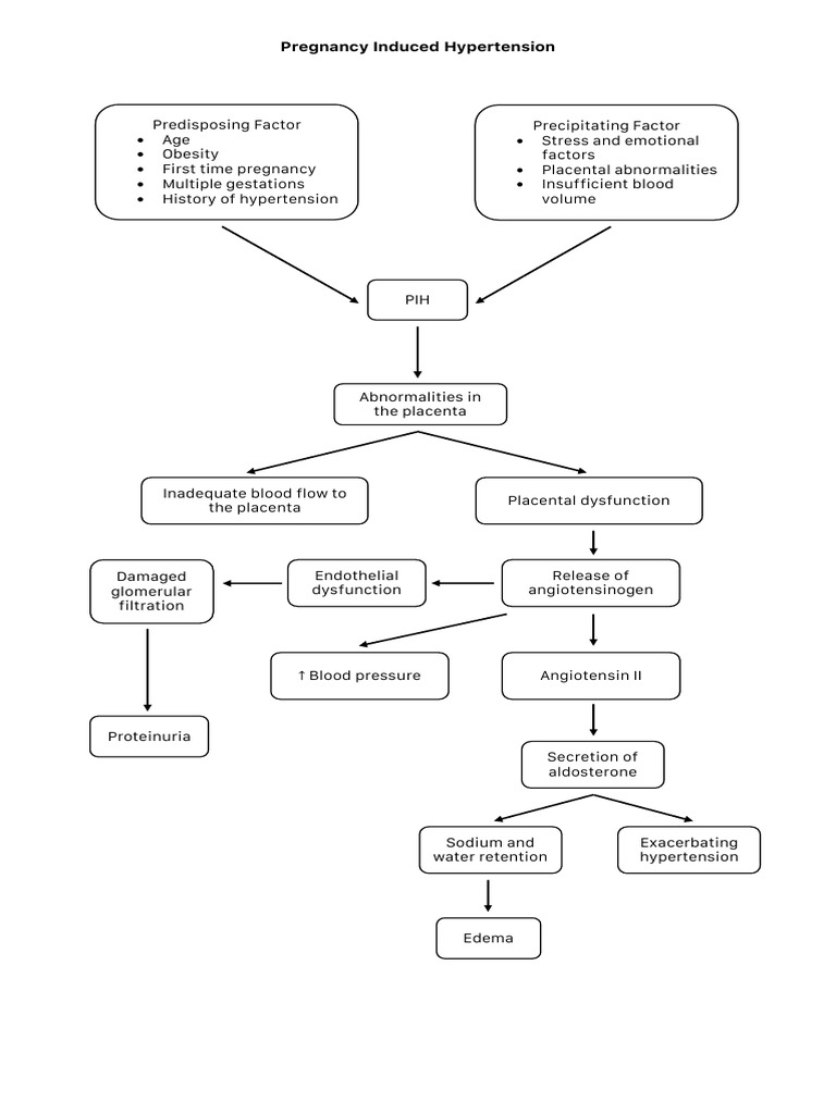 Pathophysiology PIH | PDF