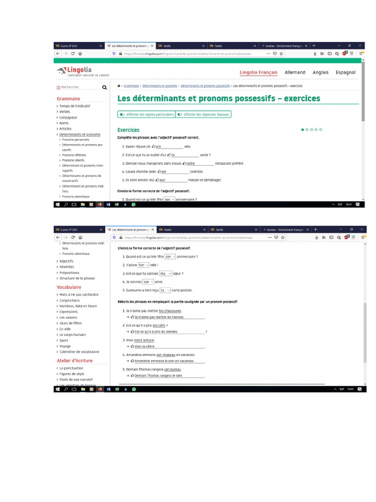 Adjectifs Et Les Pronoms Possessifs | PDF