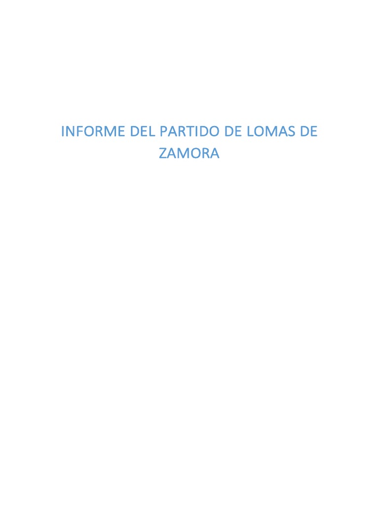 Informe Partido de Lomas de Zamora | PDF | Argentina | Economias