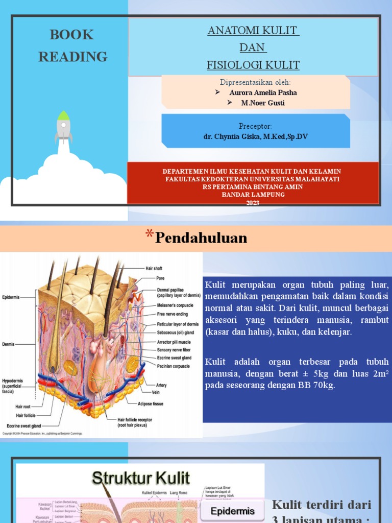 Anatomi Fisiologi Kulit | PDF