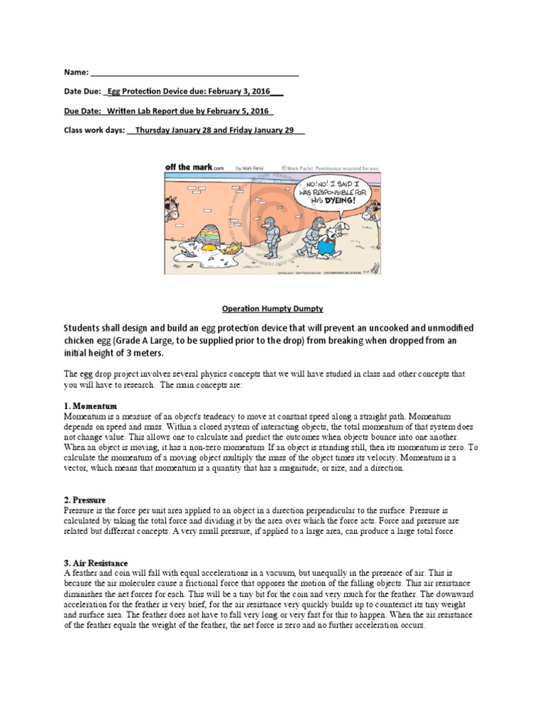 Egg Drop 2015 Lab Activity Instructions | PDF | Momentum | Force
