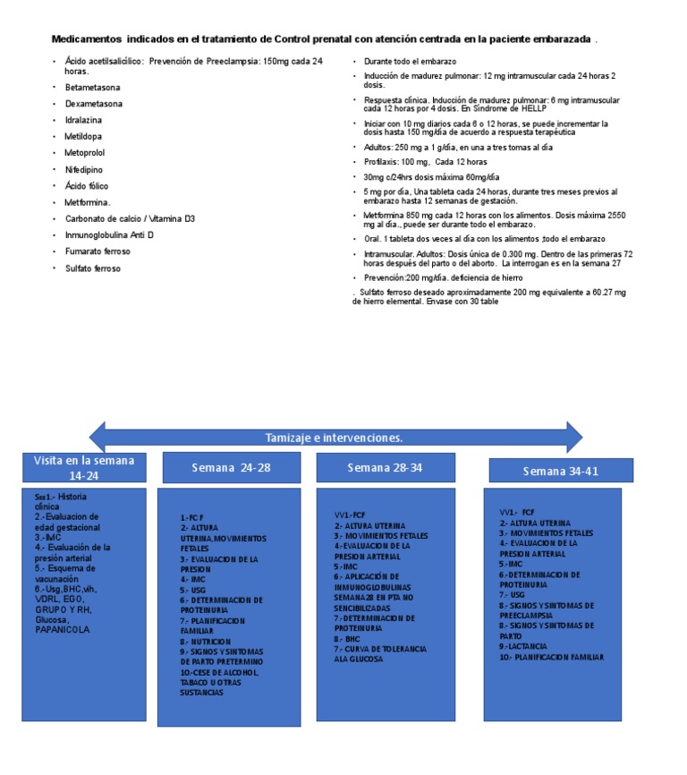 Diapositiva de Embarazada | PDF | El embarazo | Especialidades Medicas
