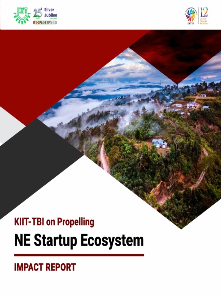 NE Report | PDF