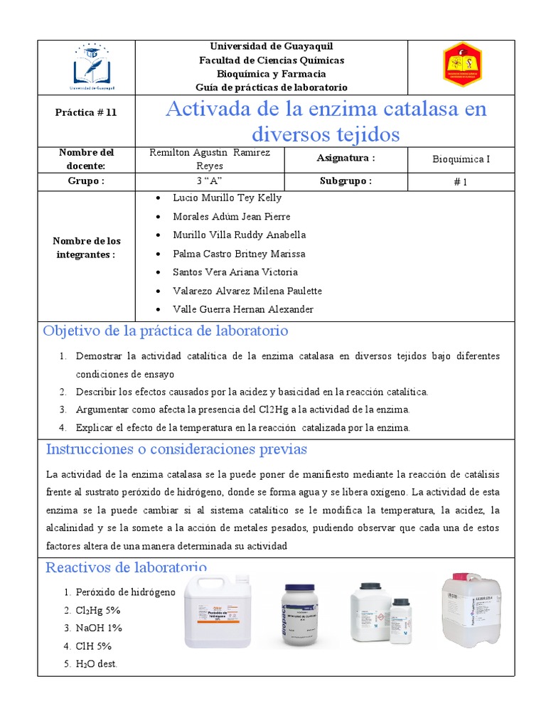 Activada de la enzima catalasa en diversos tejidos | PDF | Catálisis ...
