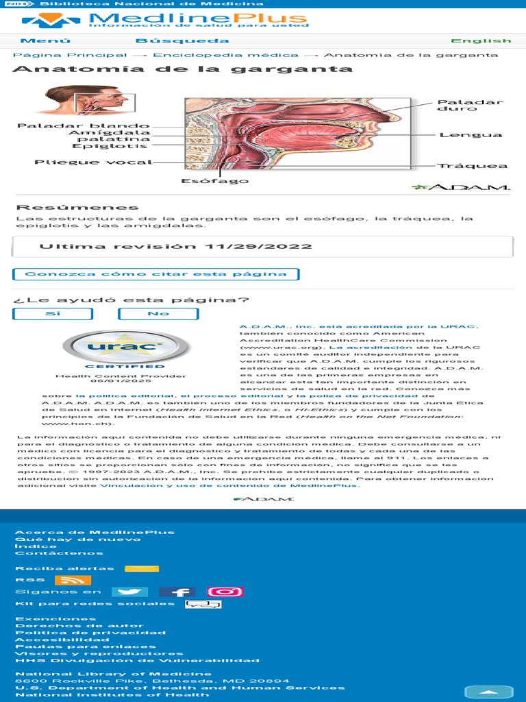 Anatomía de La Garganta MedlinePlus Enciclopedia | PDF