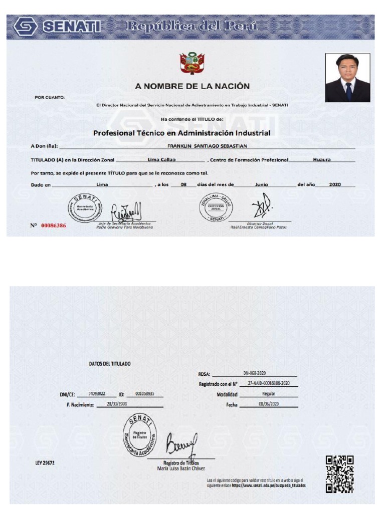 Titulo Profesional Tecnico | PDF
