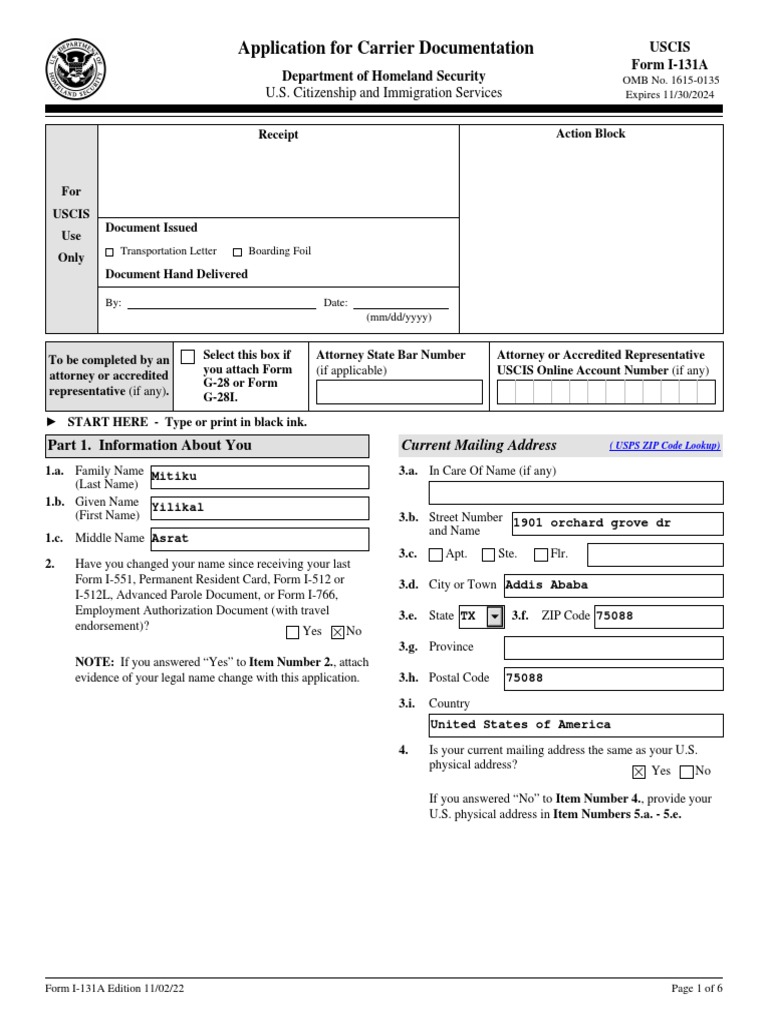 Form I-131A: Carrier Documentation Application | PDF | United States ...