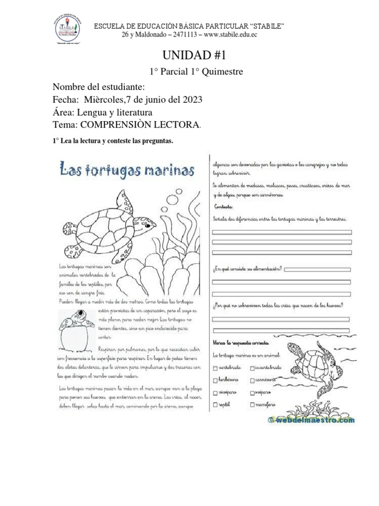 7 de Junio Comprensiòn Lectora | PDF