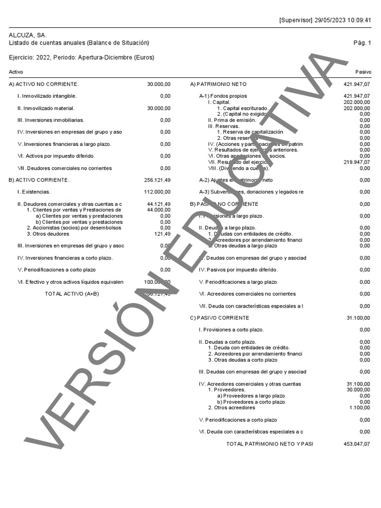 Cuentas Anuales (Balance de Situación) Modelo Simple | PDF | Deuda ...
