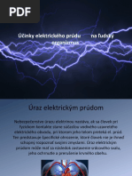 Priepustka K Lek Rovi | PDF