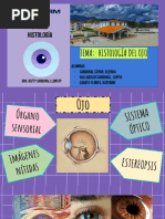 Anatomía y Patología de La Papila Óptica | PDF | Retina | Ojo humano