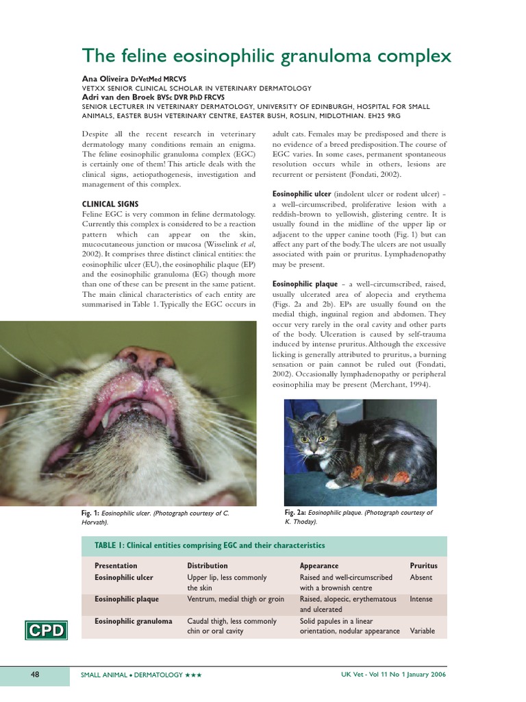 The Feline Eosinophilic Granuloma Complex | PDF | Clinical Medicine | Immunology