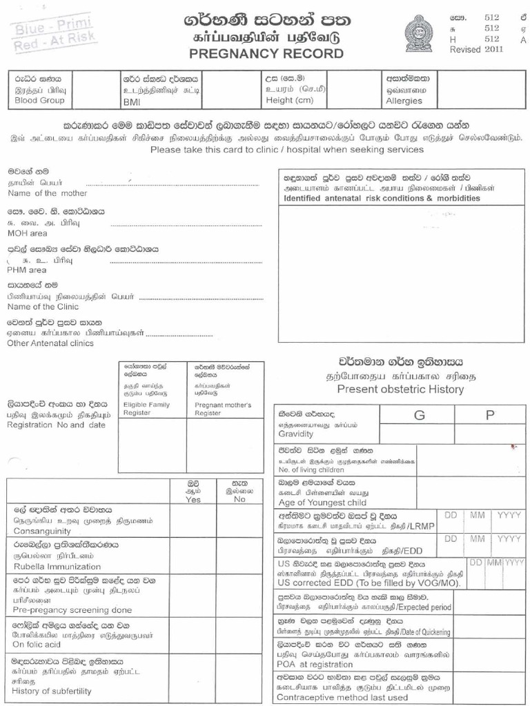Pregnancy Record Updated PDF | PDF | Family | Parenting