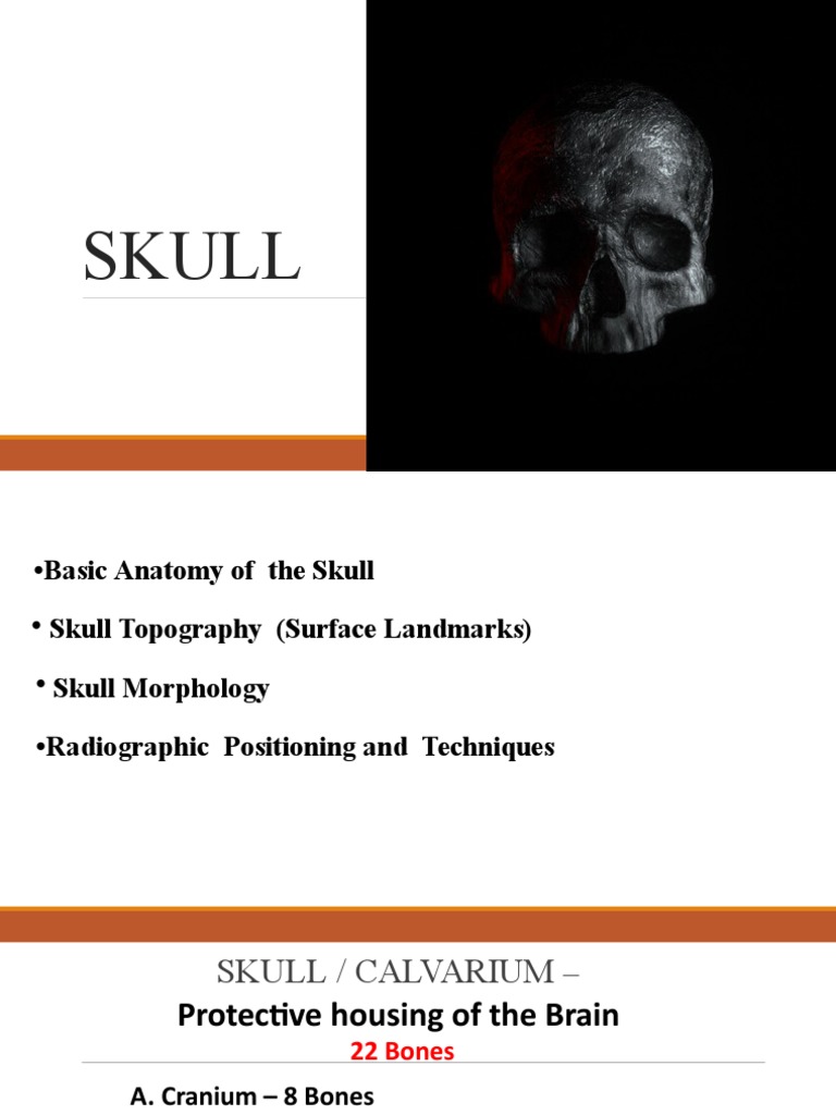 Skull | PDF