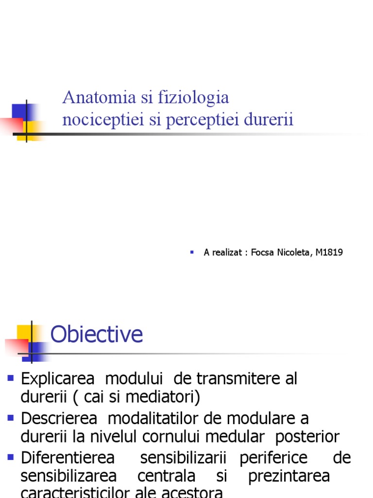 Anatomia Si Fiziologia Durerii PDF | PDF