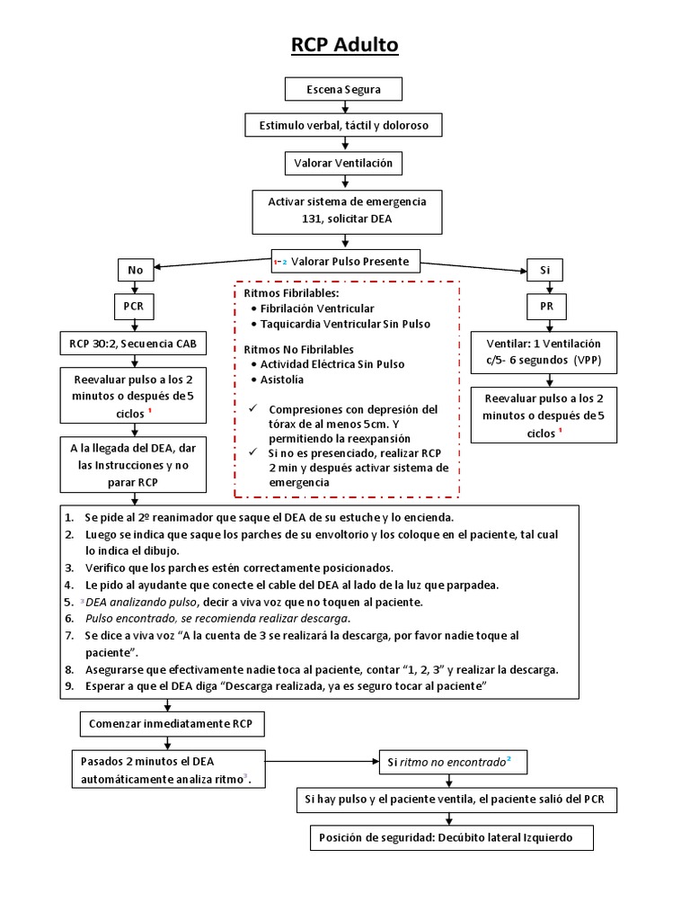 RCP Adulto | PDF | Reanimación cardiopulmonar | Tratamientos médicos