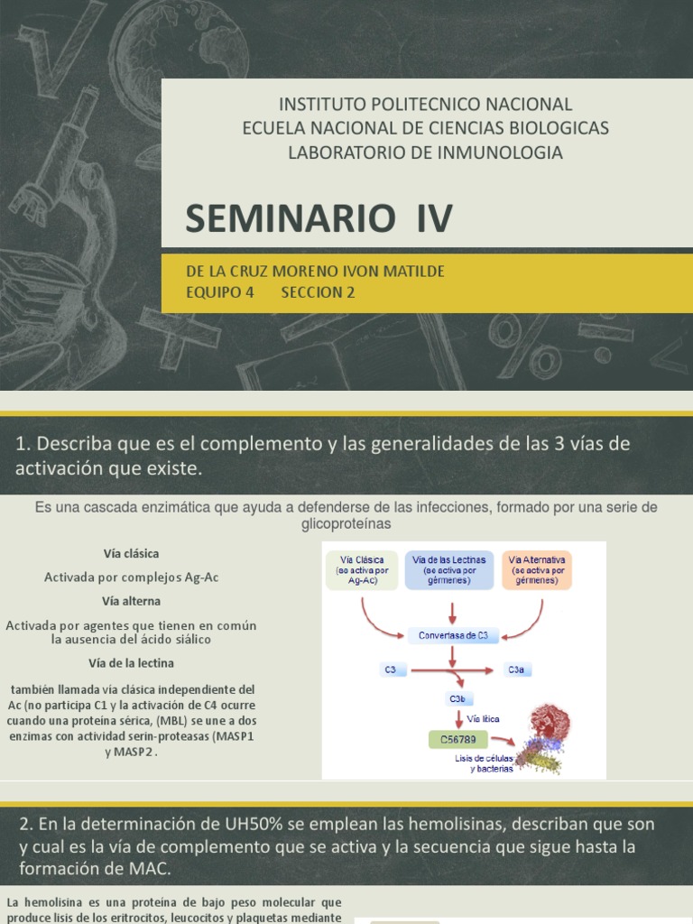 Seminario 4 | PDF