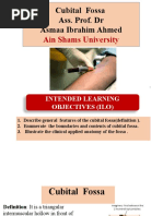 Cubital Fossa Anatomy and Clinical Relevance | PDF | Arm | Human Anatomy