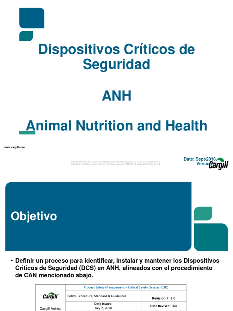 CSD Trainning Deck Español Rev 2020 | PDF | Combustión | Ingeniería Química