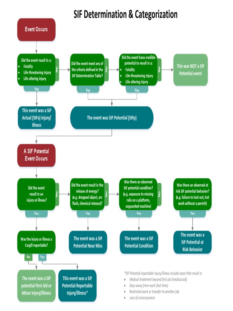 SIF Determination & Categorization | PDF | Injury | Epidemiology