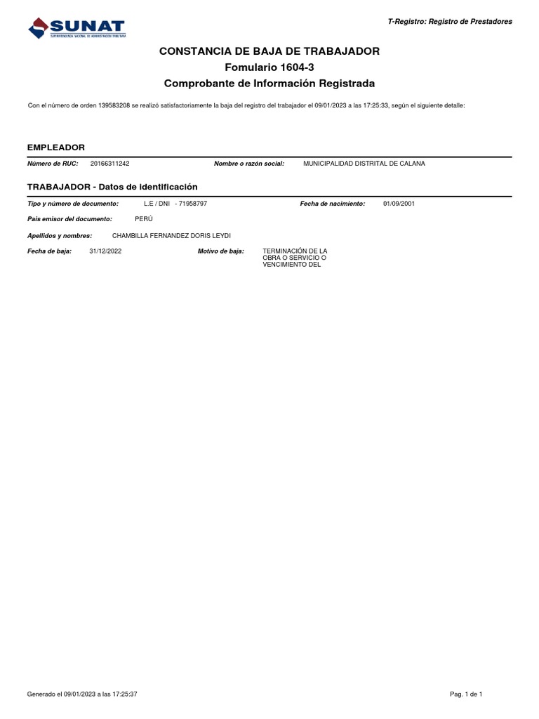 Chambilla Fernandez Doris Leydi | PDF