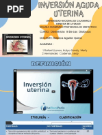 Definición y manejo del parto precipitado | PDF | Parto | Cuidado de la ...