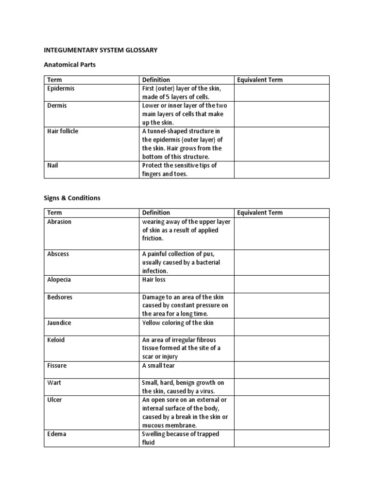 Integumentary (Dermatology) System Glossary | PDF