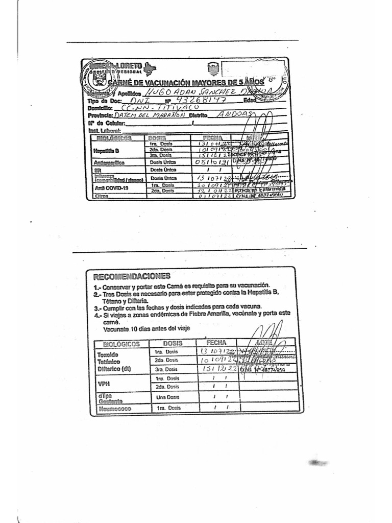 carnet-vacunacion-hugo-adan-sanchez-dahua-pdf