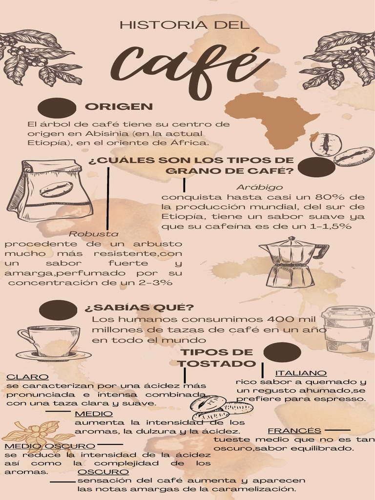 Infografía Café | PDF | café | Bebida