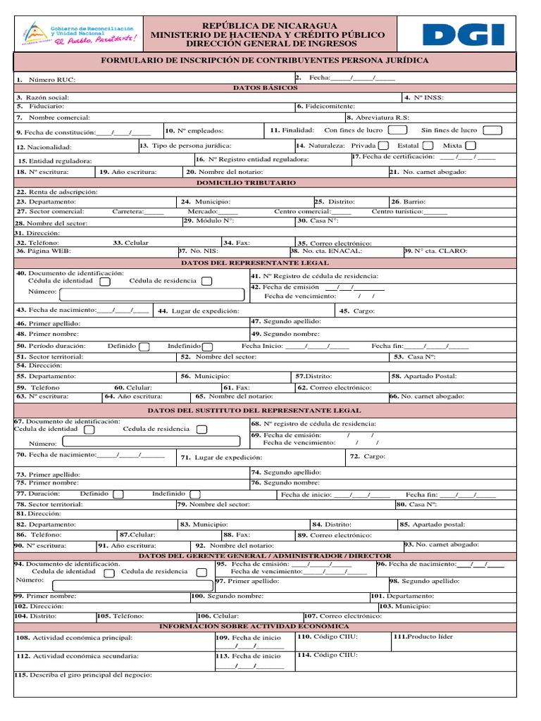 Nuevo Formulario DGI | PDF | Derecho Civil (Common Law) | Ley común