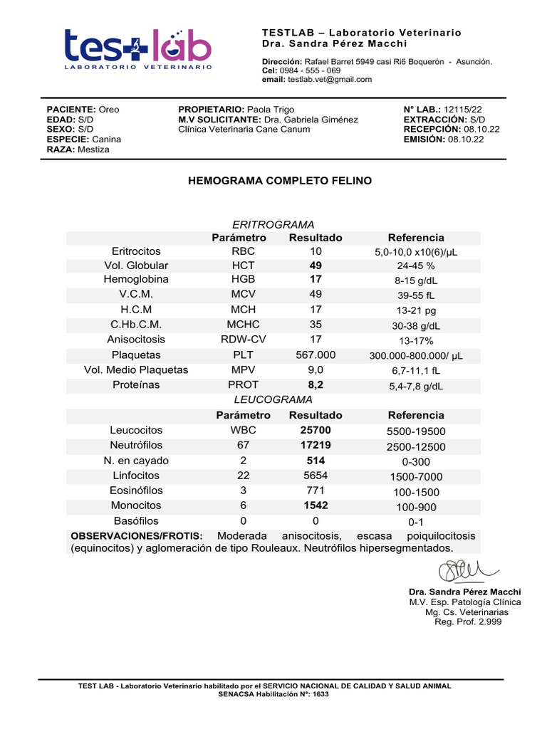 Oreo Hemograma 08 10 22 | PDF | Sangre | Tejido (biología)