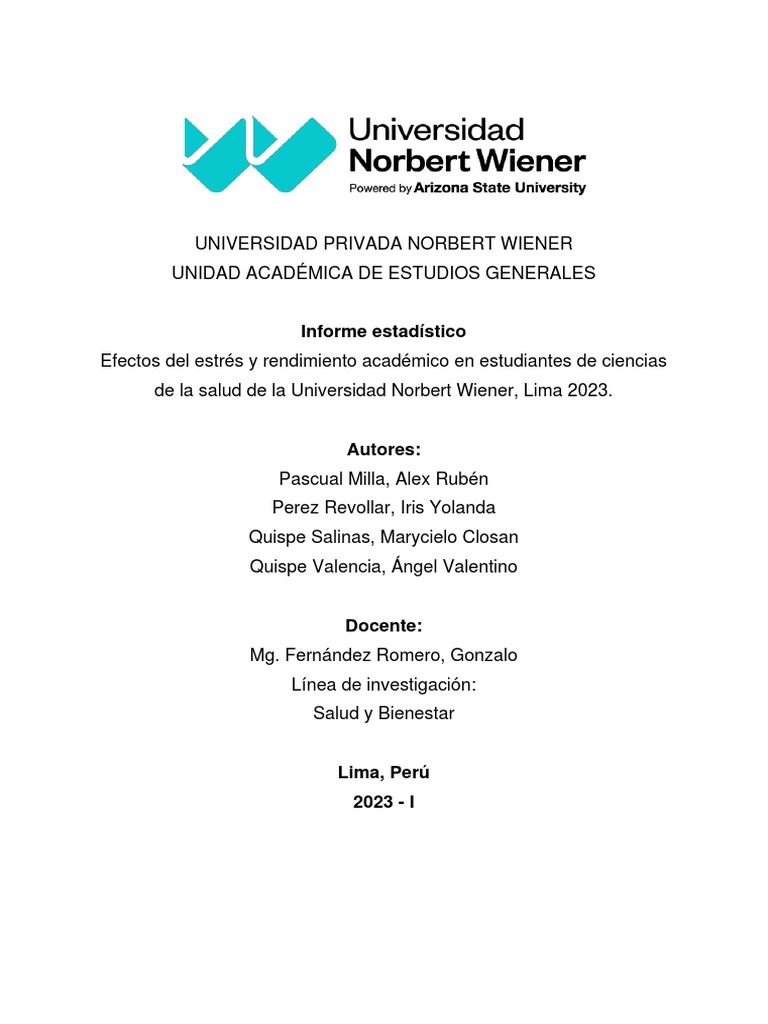 Nuevo Informe Estad Stico | PDF