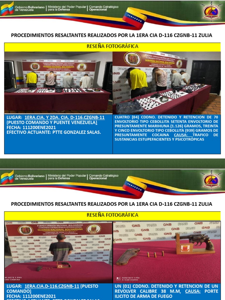 Casuistica Modelo | PDF | Armas de fuego | Herramientas