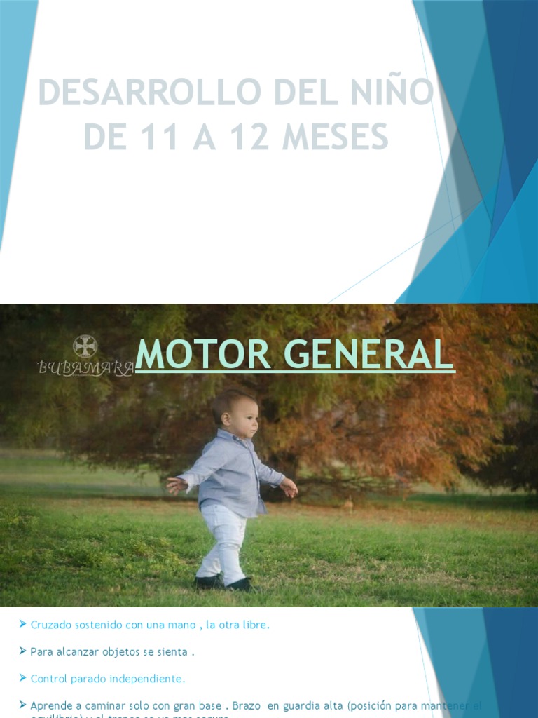 Desarrollo Del Niño de 11 a 12 Meses | PDF