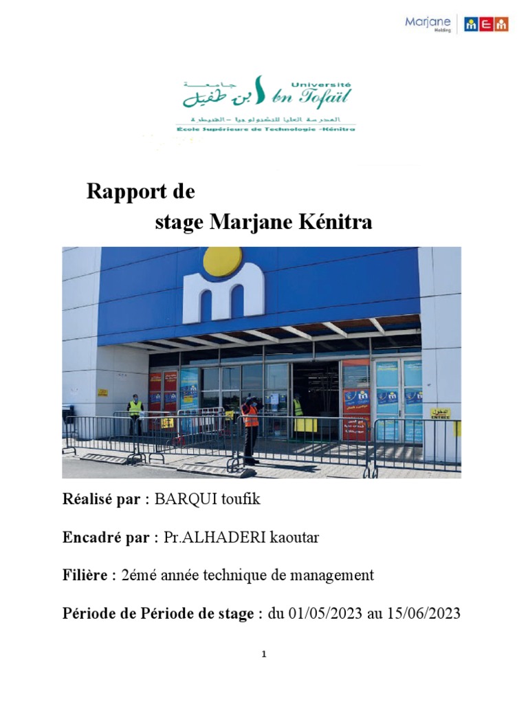 Rapport de stage Marjan (Autosaved) | PDF