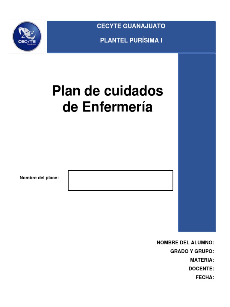 Formato Place Actualizado Pdf 