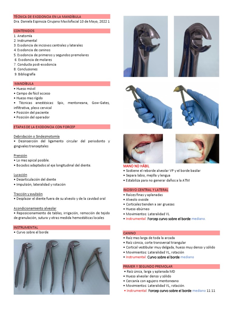 Técnica de Exodoncia en La Mandíbula | PDF | Diente | Anatomia dental