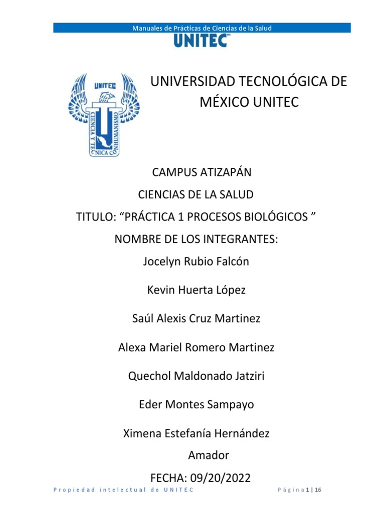 Práctica 1. (Procesos) | PDF