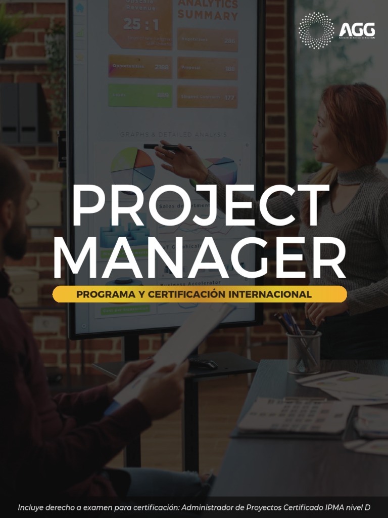 Project Manager Programa | PDF