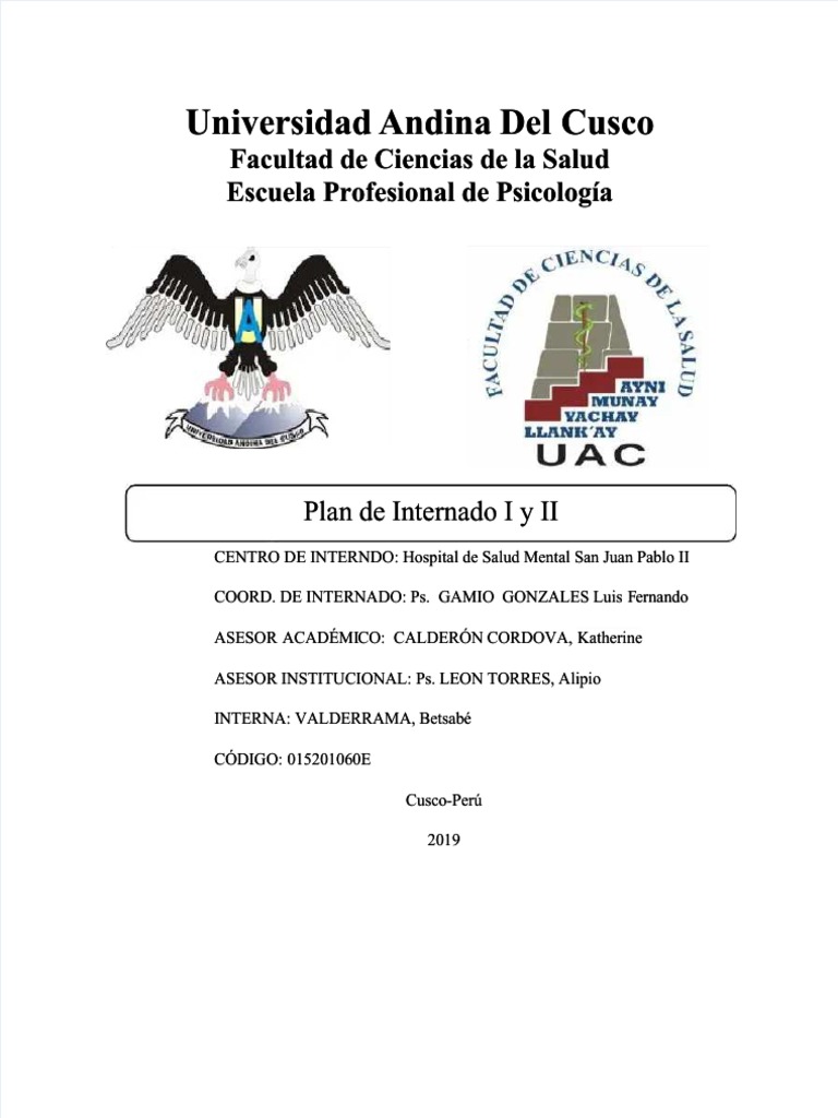 PDF Plan de Internado Ejemplo Compress | PDF