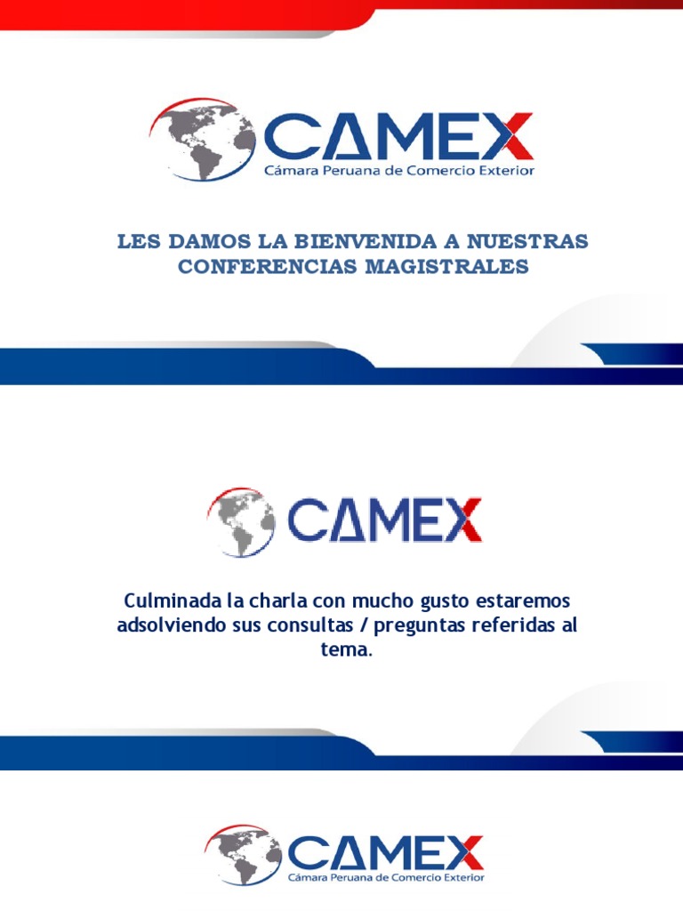 Modelo de Negocio Modulo ..Camex | PDF | Marketing | Modelo de negocio