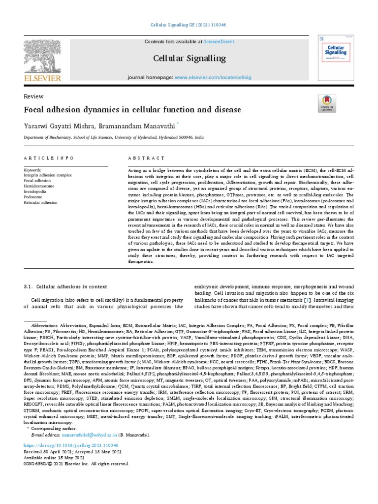 Focal Adhesion Dynamics in Cellular Function and Disease | PDF ...