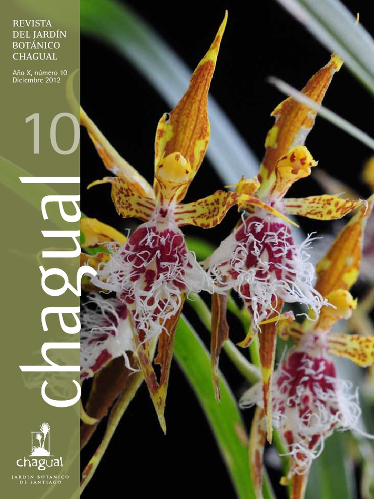 Revista Chagual 10 | PDF | Naturaleza | Homo Sapiens